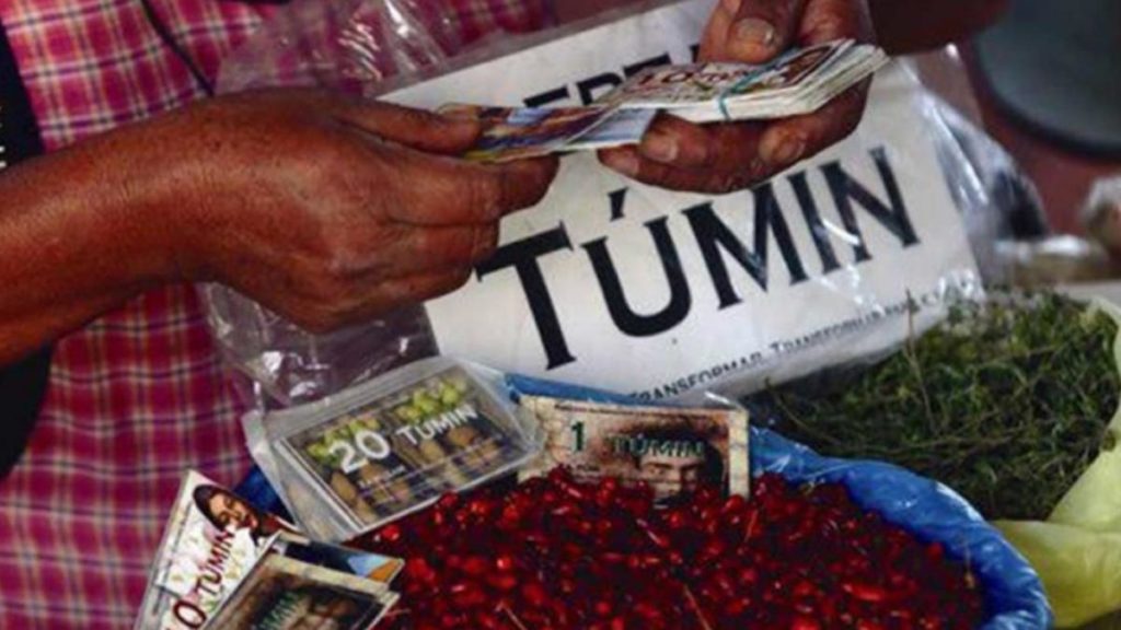Túmin, Economía solidaria y autogestión – Otros Mundos Chiapas