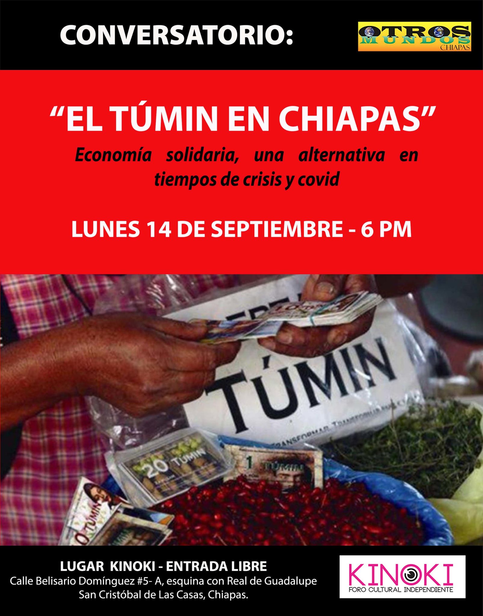 Lunes 14 de septiembre, 6 pm, Conversatorio: El Túmin en Chiapas ...