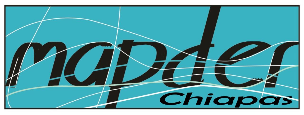 Personalidades piden la libertad del indígena de Chiapas Manuel Santiz Cruz – Otros Mundos Chiapas